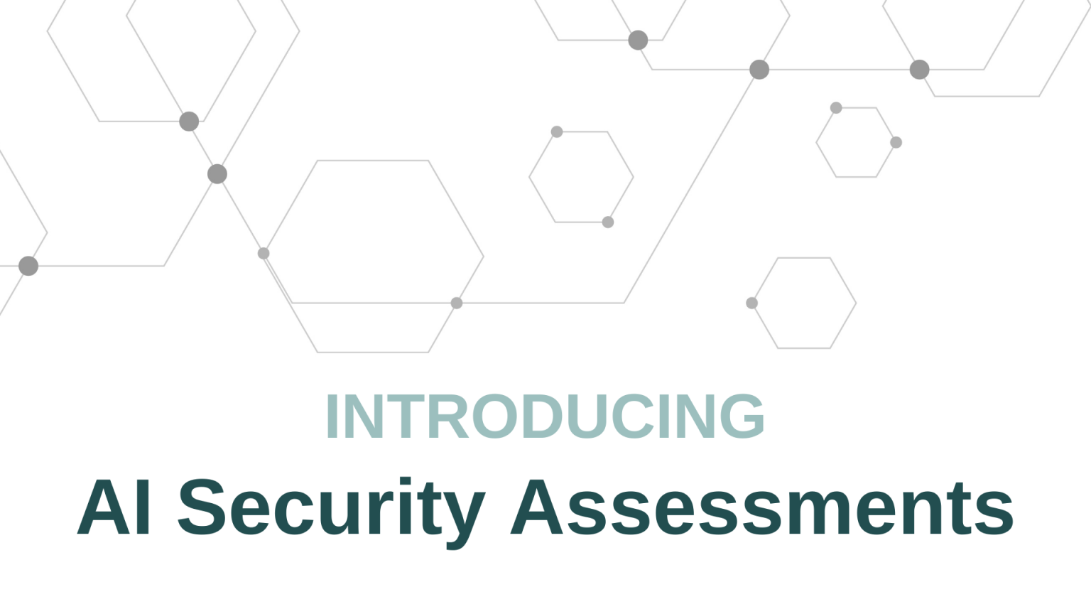 Black Hills Information Security - Black Hills Information Security, Inc.